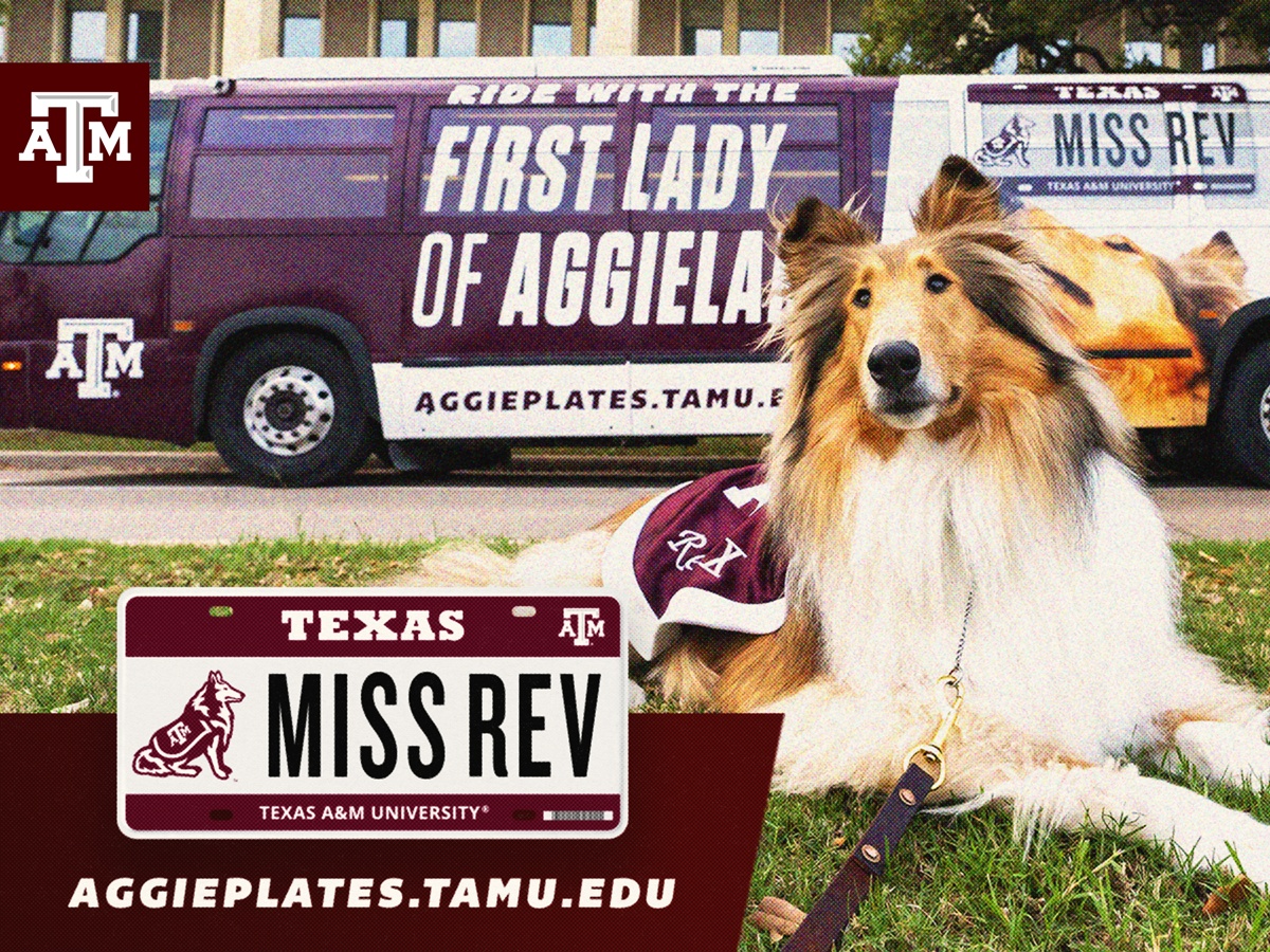 License Plate Program Raises | The Aggie Parent & Family Connection
